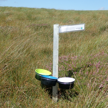 ArthropodsPanTrapSets